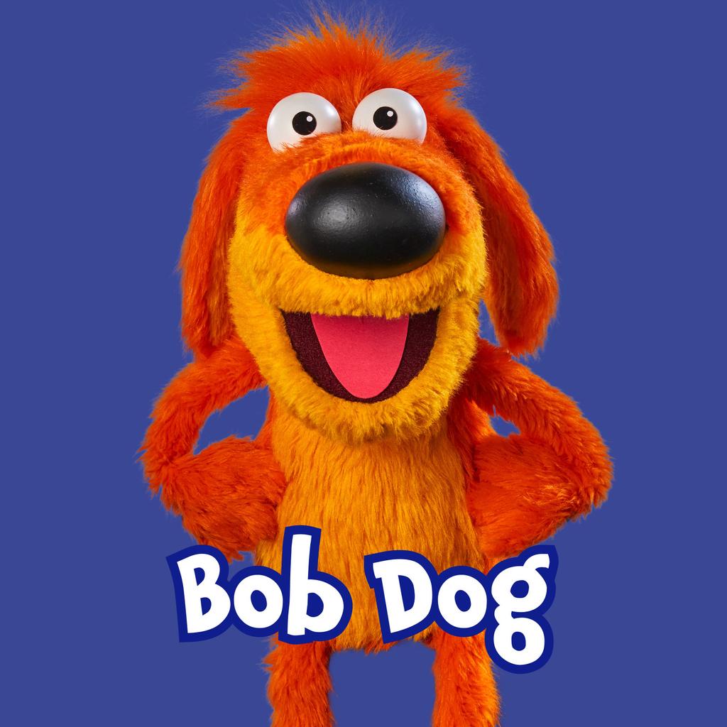 Donkey Hodie | Videos | PBS KIDS