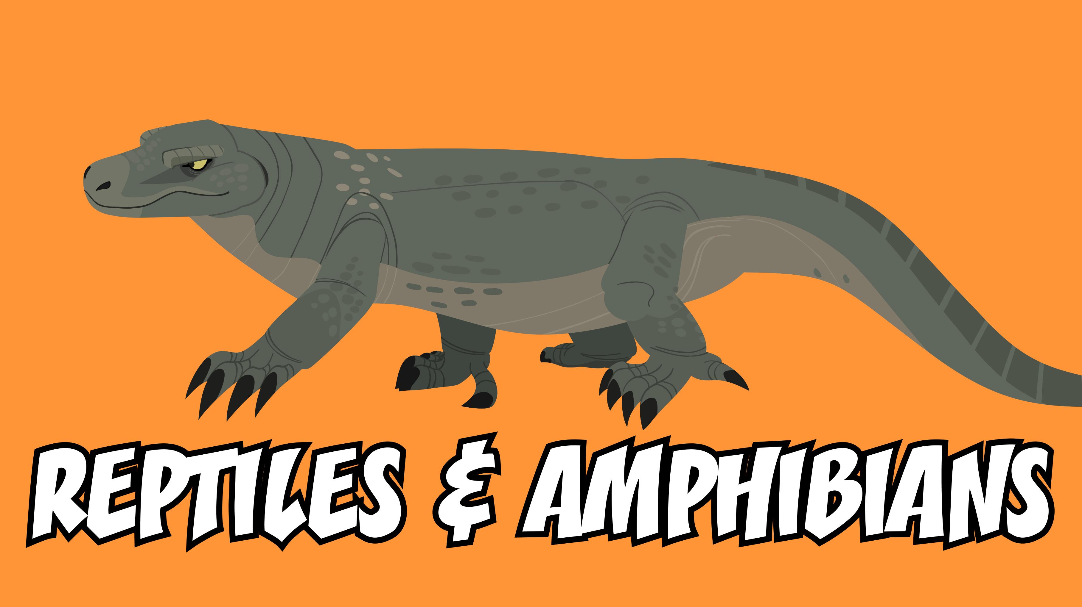 Wild Kratts | Videos | PBS KIDS