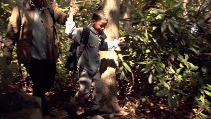 Daniel Tiger's Neighborhood - Ethan Goes Home Video | PBS KIDS