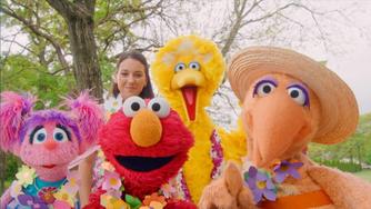 Sesame Street - Full Episodes Video Collection | Videos | PBS KIDS