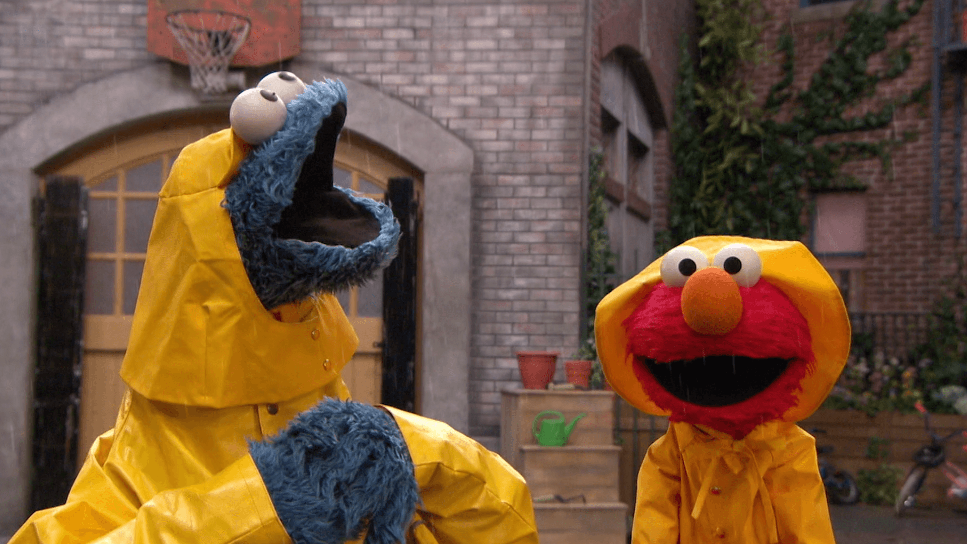 Watch Sesame Street Videos | PBS KIDS