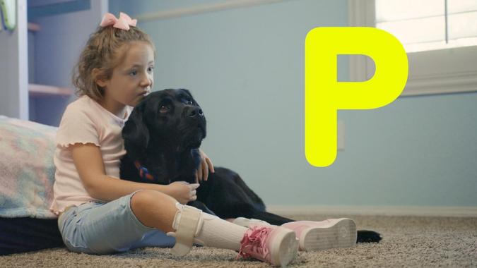 Sesame Street - P is for Pets Video | PBS KIDS