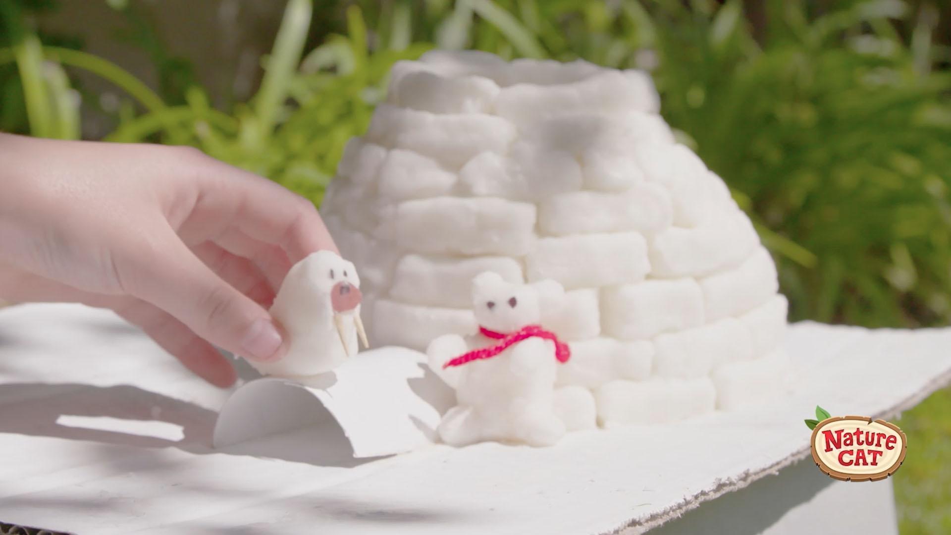 Nature Cat - DIY Video Collection | Videos | PBS KIDS