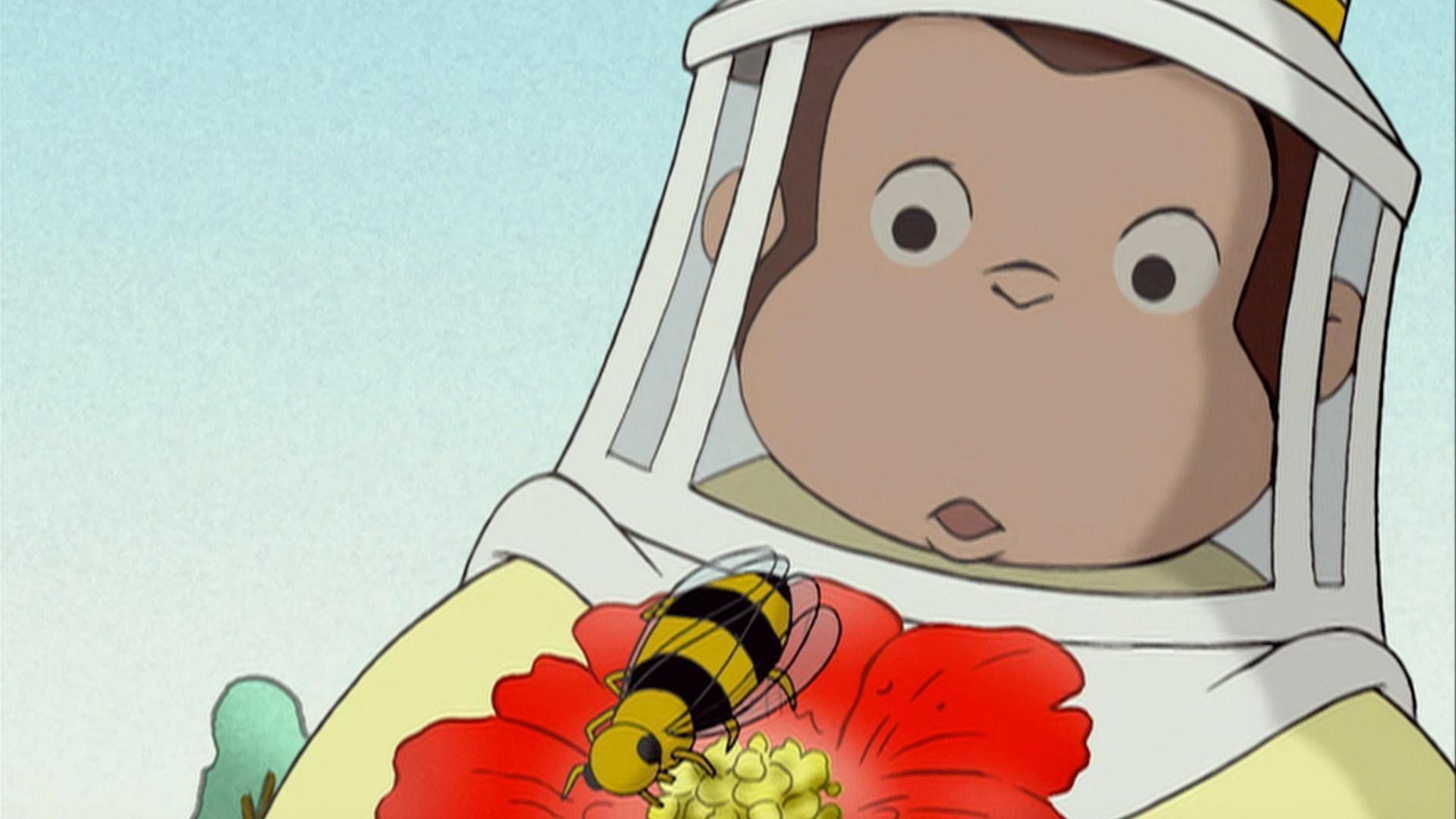 Watch Curious George Videos | PBS KIDS