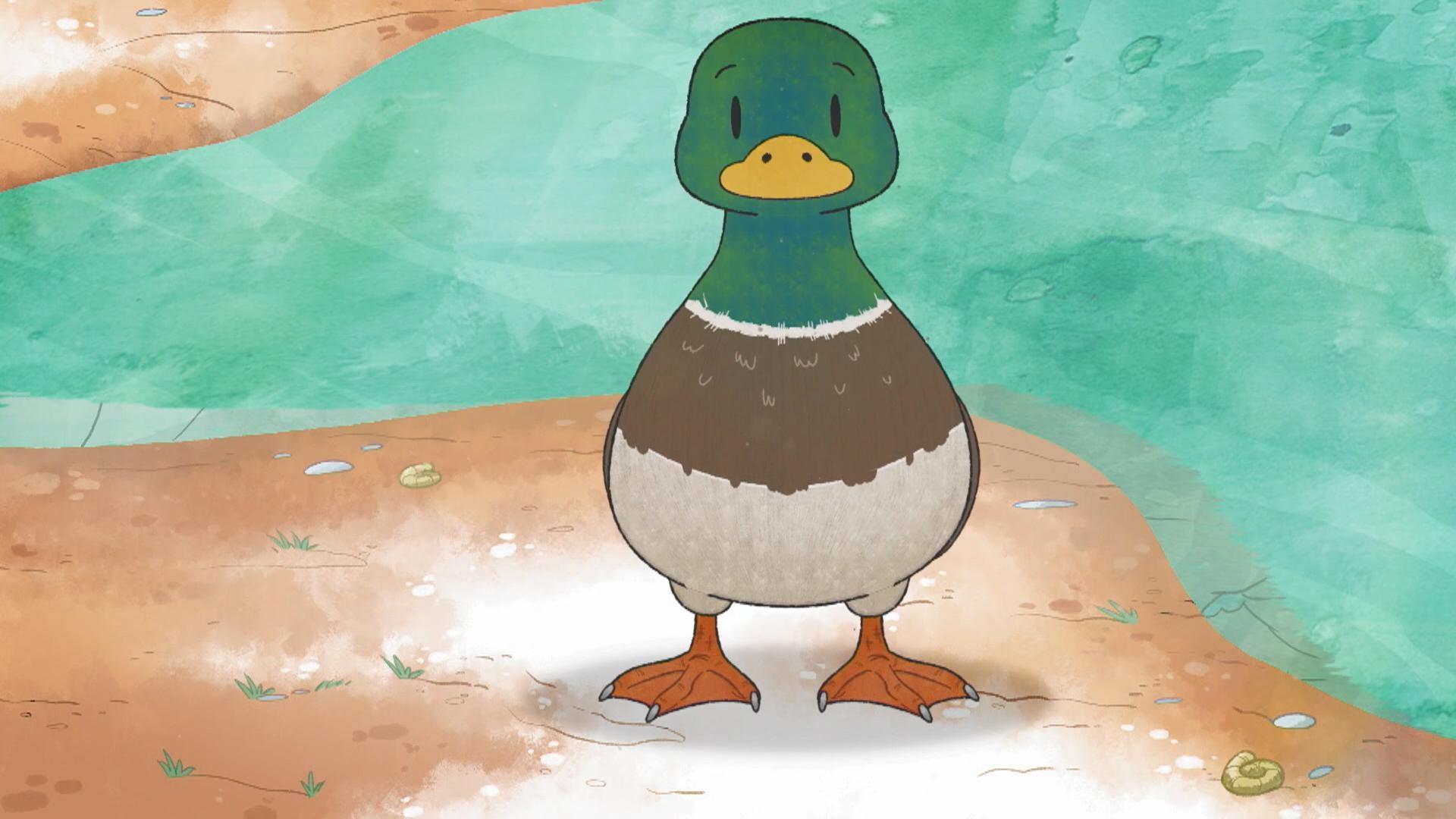 Watch Elinor Wonders Why Videos | PBS KIDS