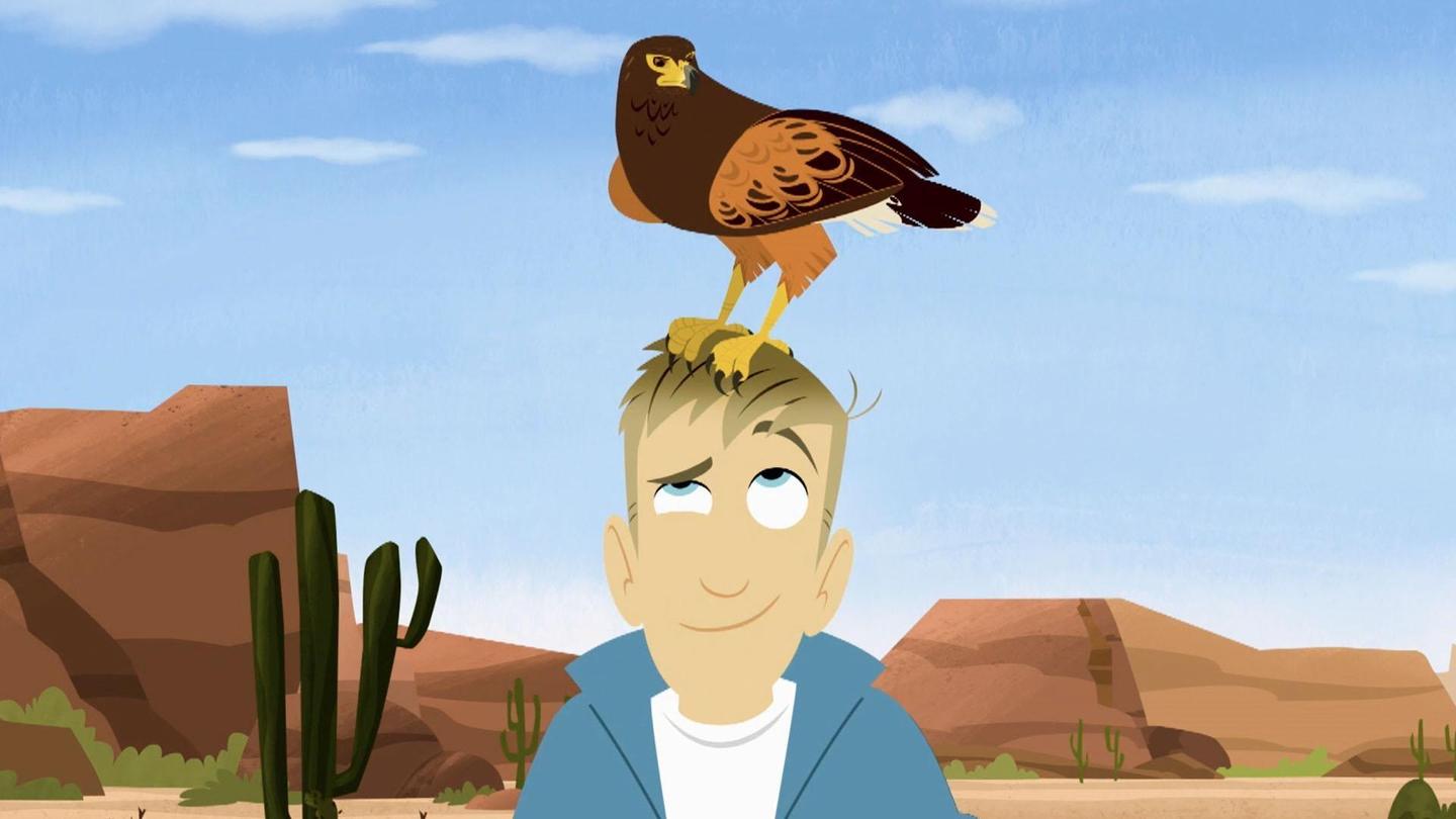 Wild Kratts - Birds Video Collection | Videos | PBS KIDS