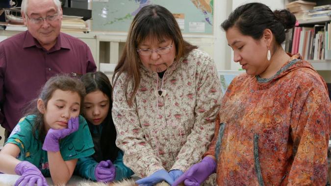 Molly of Denali - Ask Molly: Museum Artifacts Video | PBS KIDS