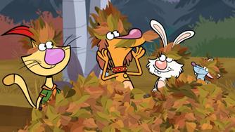 Nature Cat - Hal the Dog Video Collection | Videos | PBS KIDS
