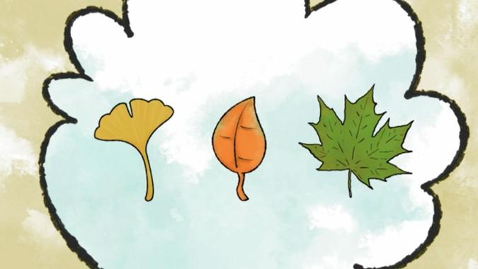 Elinor Wonders Why - That's So Interesting!: Why Do Leaves Change ...