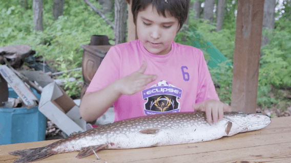 Molly of Denali - Food Video Collection | Videos | PBS KIDS