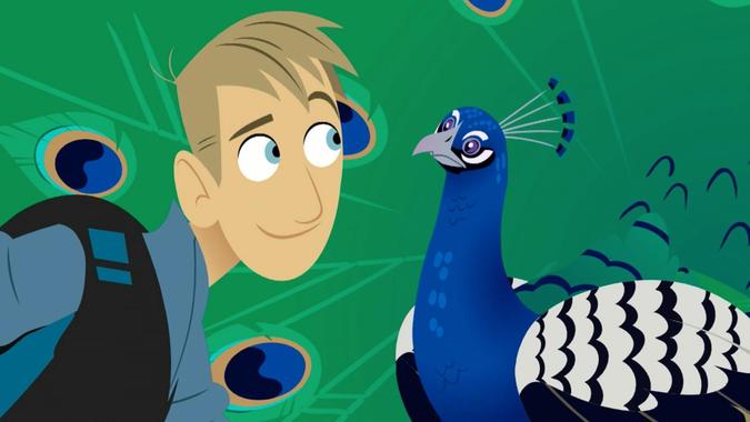Wild Kratts - Creature Adventure! Video | PBS KIDS