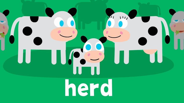 Watch Word of the Week Videos | PBS KIDS
