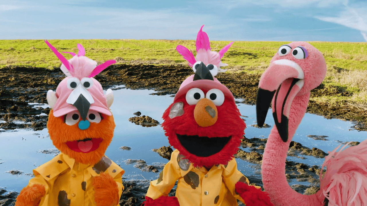 Watch Sesame Street Videos | PBS KIDS