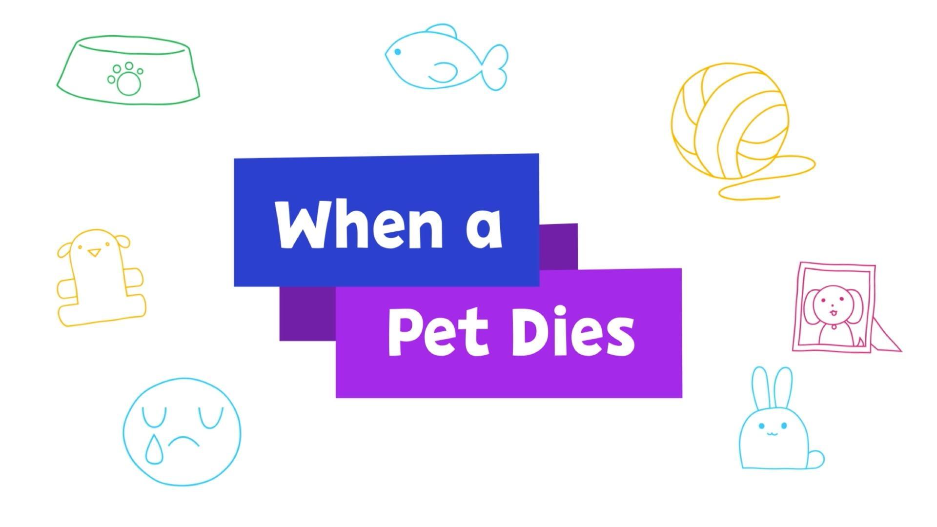 PBS KIDS Talk About - Feelings & Emotions Video Collection | Videos ...