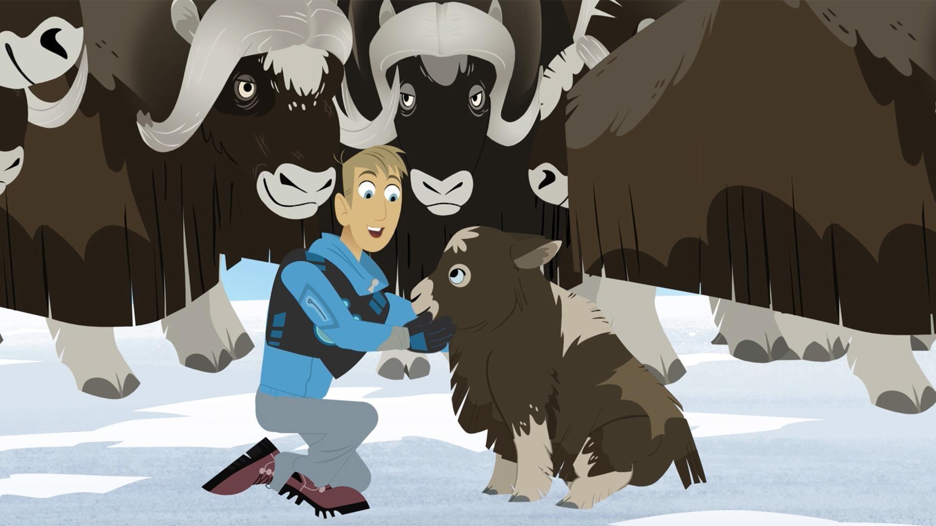 Wild Kratts - Baby Animals Video Collection | Videos | PBS KIDS