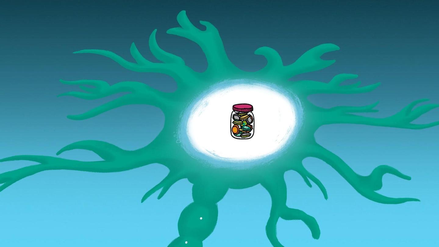 Carl the Collector - Carl Video Collection | Videos | PBS KIDS