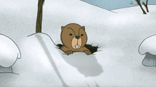 Curious George | Videos | PBS KIDS