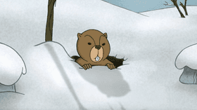 Curious George | Videos | PBS KIDS