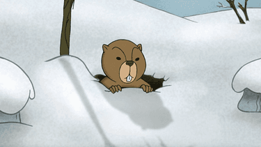 Curious George | Videos | PBS KIDS