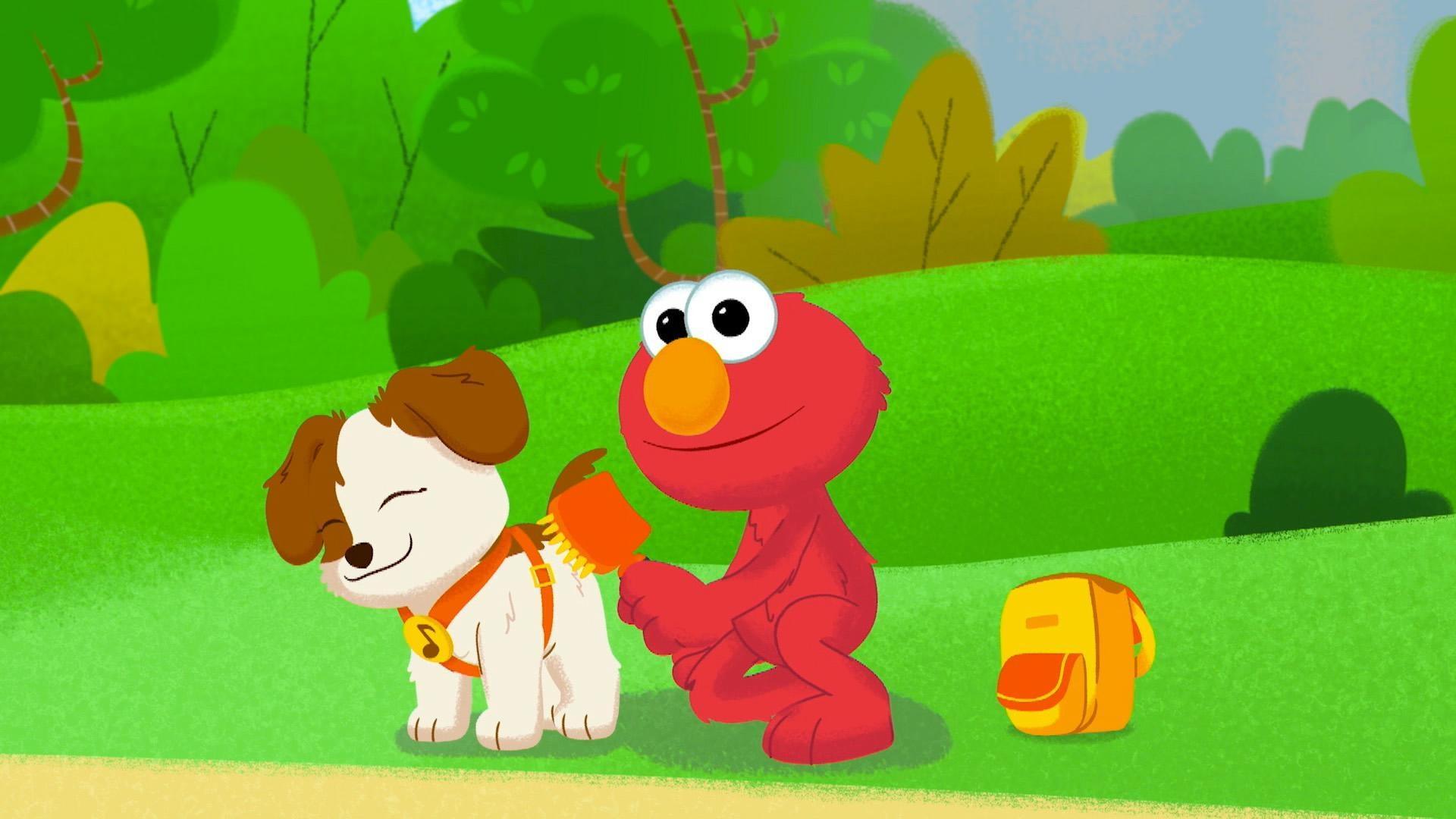 Sesame Street - Furry Friends Forever Video Collection | Videos | PBS KIDS