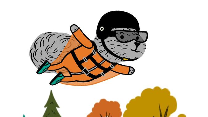 Carl the Collector - Forrest Video Collection | Videos | PBS KIDS