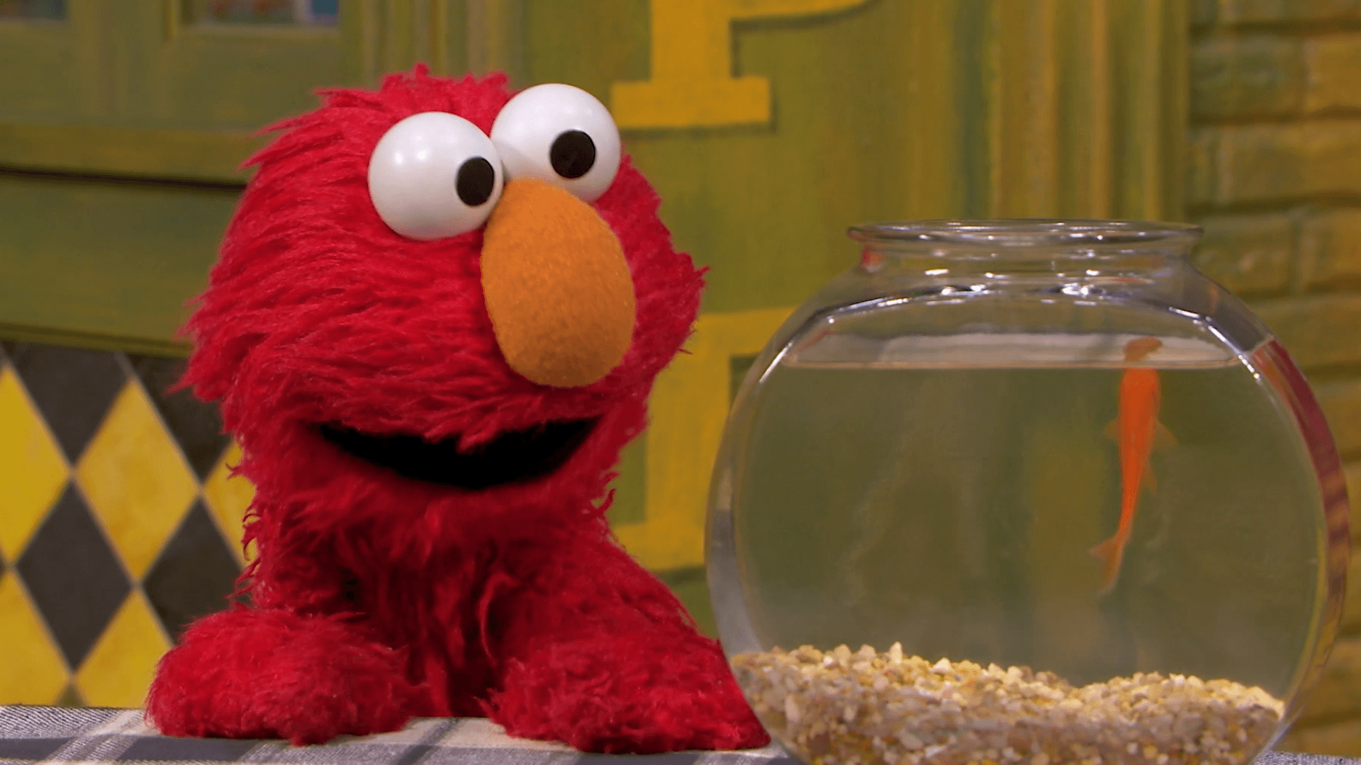 Sesame Street - Full Episodes Video Collection | Videos | PBS KIDS