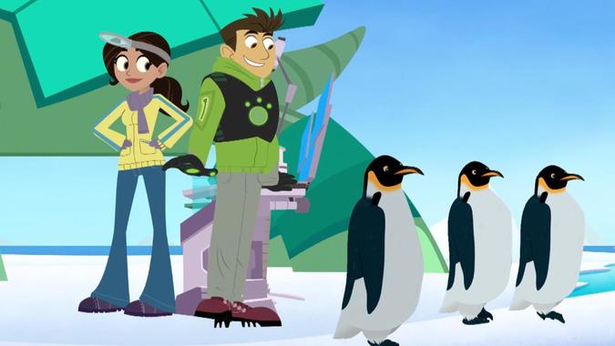 Wild Kratts - Birds Video Collection | Videos | PBS KIDS