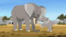 Watch Wild Kratts Videos | PBS KIDS