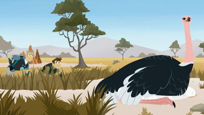 Wild Kratts - Full Episodes Video Collection | Videos | PBS KIDS