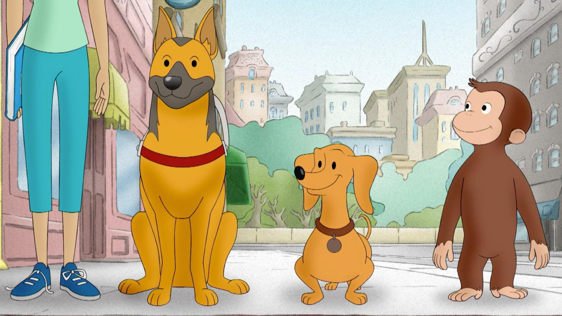 Watch Curious George Videos | PBS KIDS