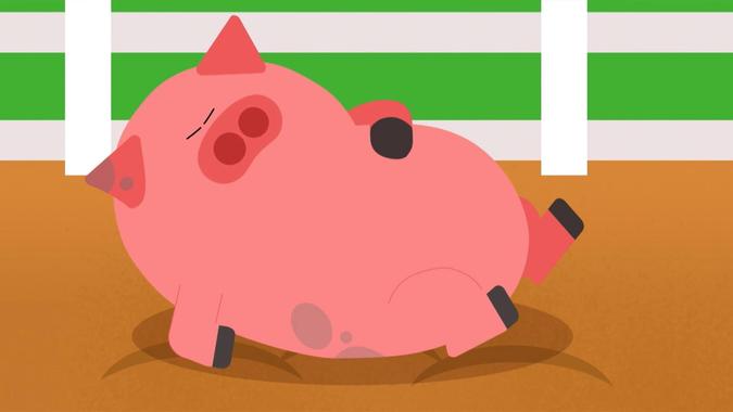 Milo - Milo The Vet Video | PBS KIDS