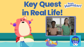 Watch Team Hamster! & Ruff Ruffman Videos | PBS KIDS