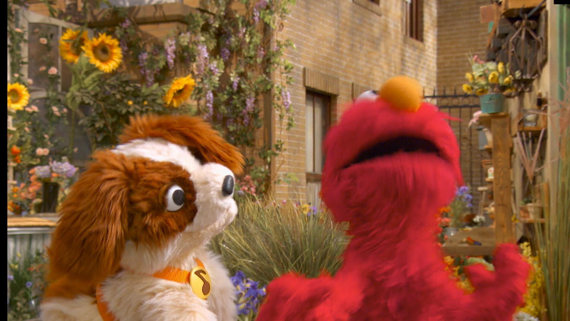 Sesame Street - Play with Elmo! Video Collection | Videos | PBS KIDS
