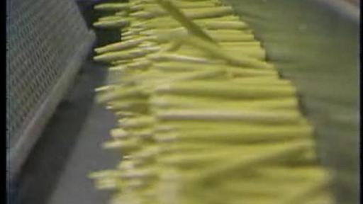 Mister Rogers' Neighborhood - How Are Crayons Made? Video | PBS KIDS