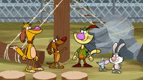 Nature Cat Videos Pbs Kids