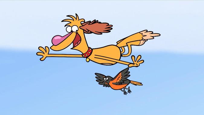 Nature Cat - Hal the Birdie! Video | PBS KIDS