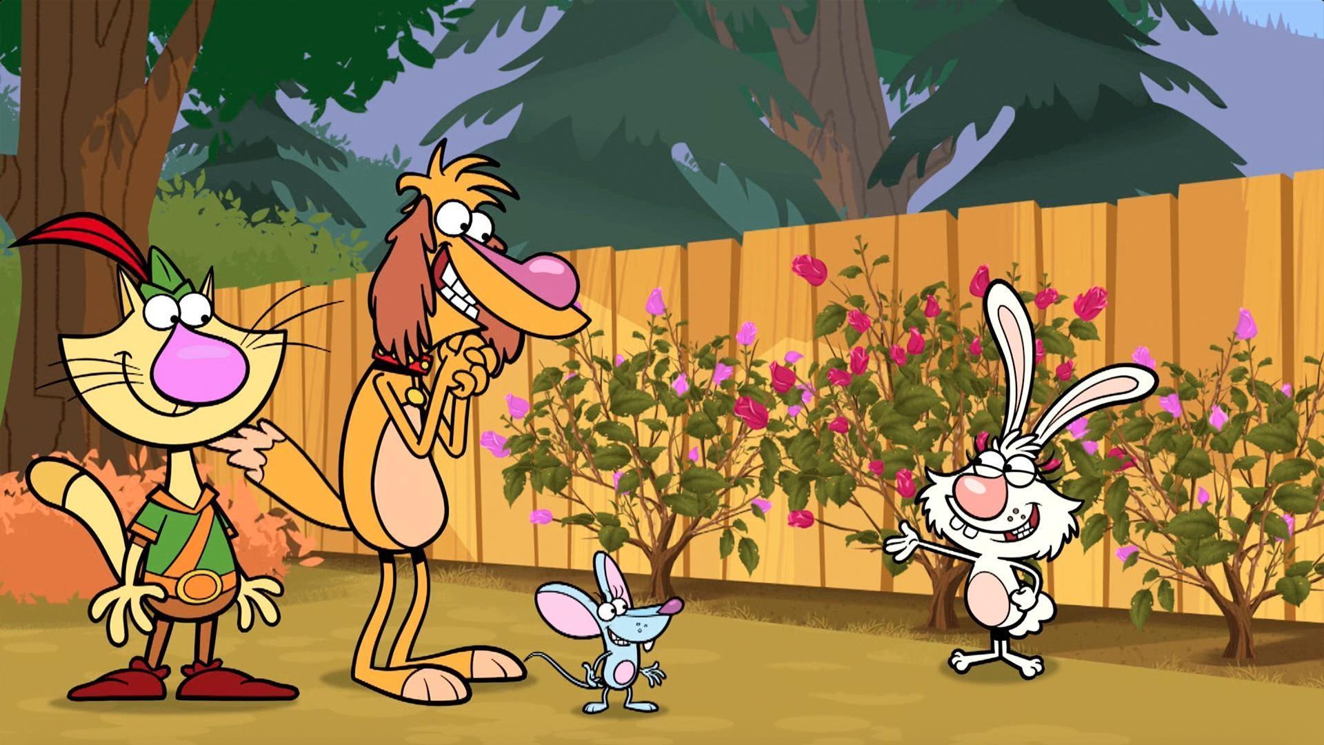 Nature Cat - Daisy the Bunny Video Collection | Videos | PBS KIDS