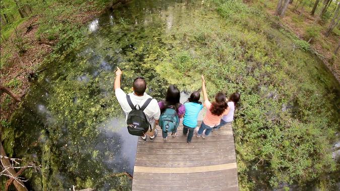 Plum Landing - Visit A Vernal Pool Video | PBS KIDS