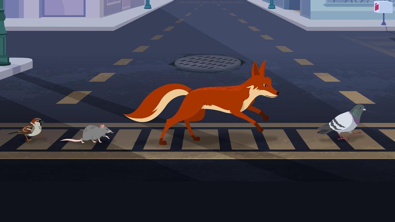 Watch Plum Landing Videos | PBS KIDS