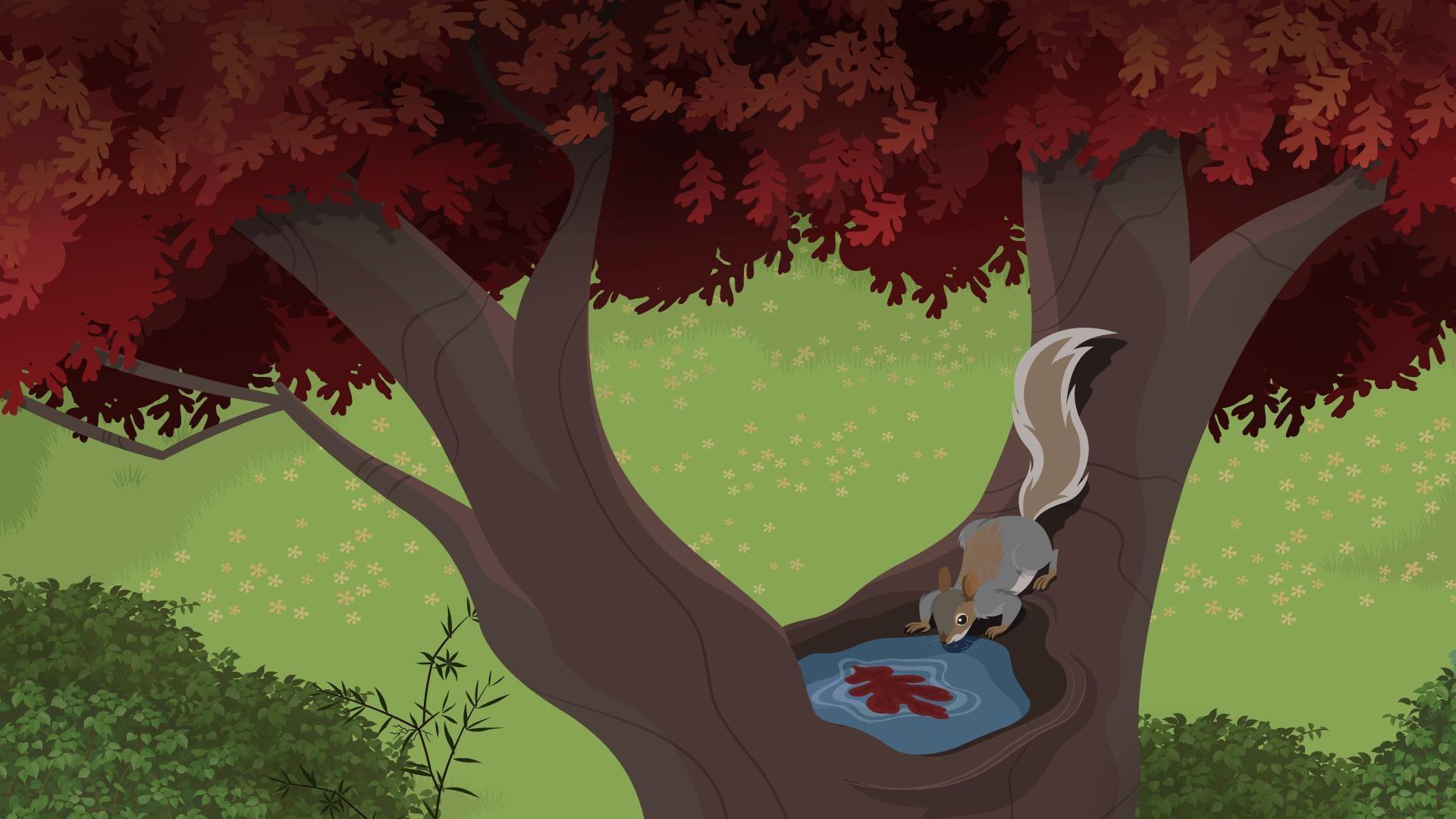 Watch Plum Landing Videos | PBS KIDS