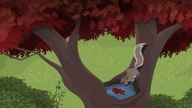 Watch Plum Landing Videos | PBS KIDS