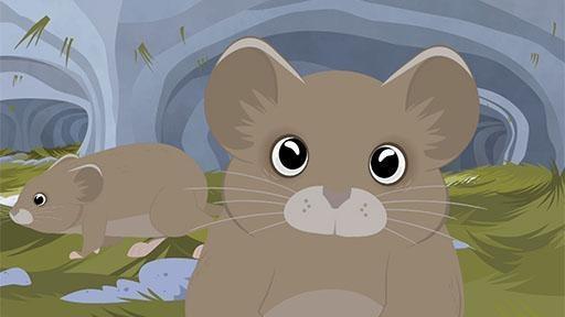 Wild Kratts - Full Episodes Video Collection | Videos | PBS KIDS