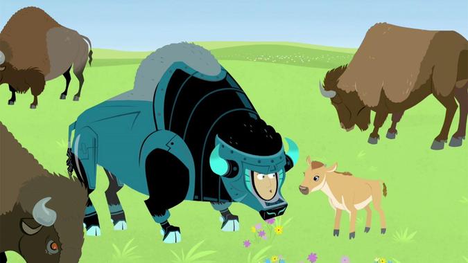 Wild Kratts - Full Episodes Video Collection | Videos | PBS KIDS