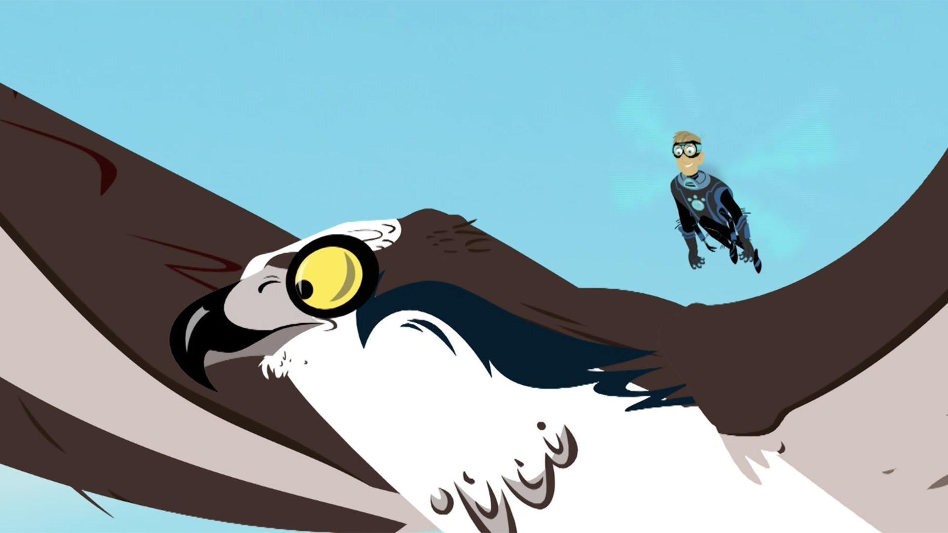 Wild Kratts - Full Episodes Video Collection | Videos | PBS KIDS