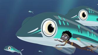 Wild Kratts - Fish Video Collection | Videos | PBS KIDS