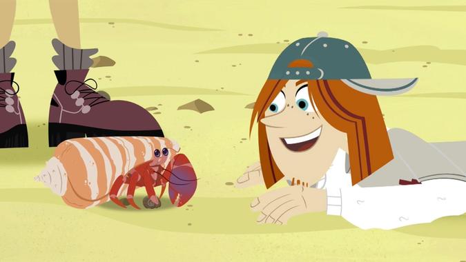 Wild Kratts - Secret of the Hermit Crab Home Video | PBS KIDS