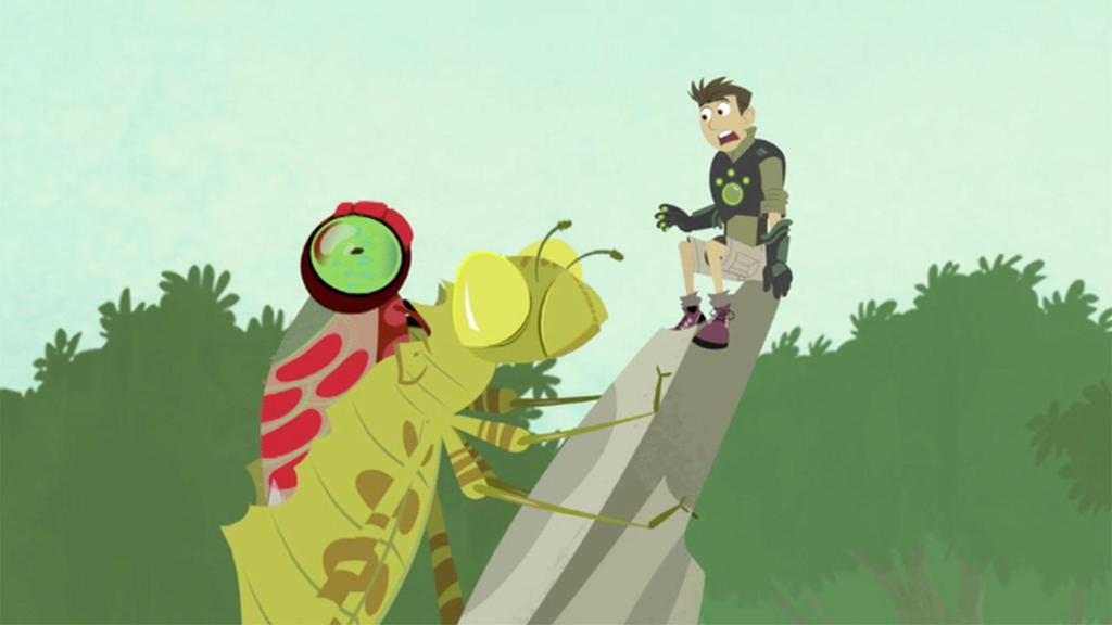 Watch Wild Kratts Videos | PBS KIDS