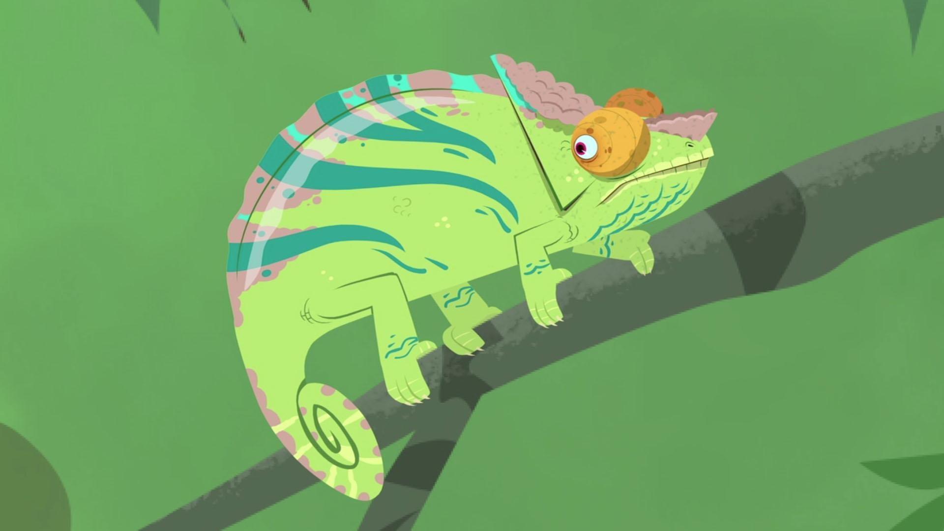 Wild Kratts - Reptiles & Amphibians Video Collection | Videos | PBS KIDS