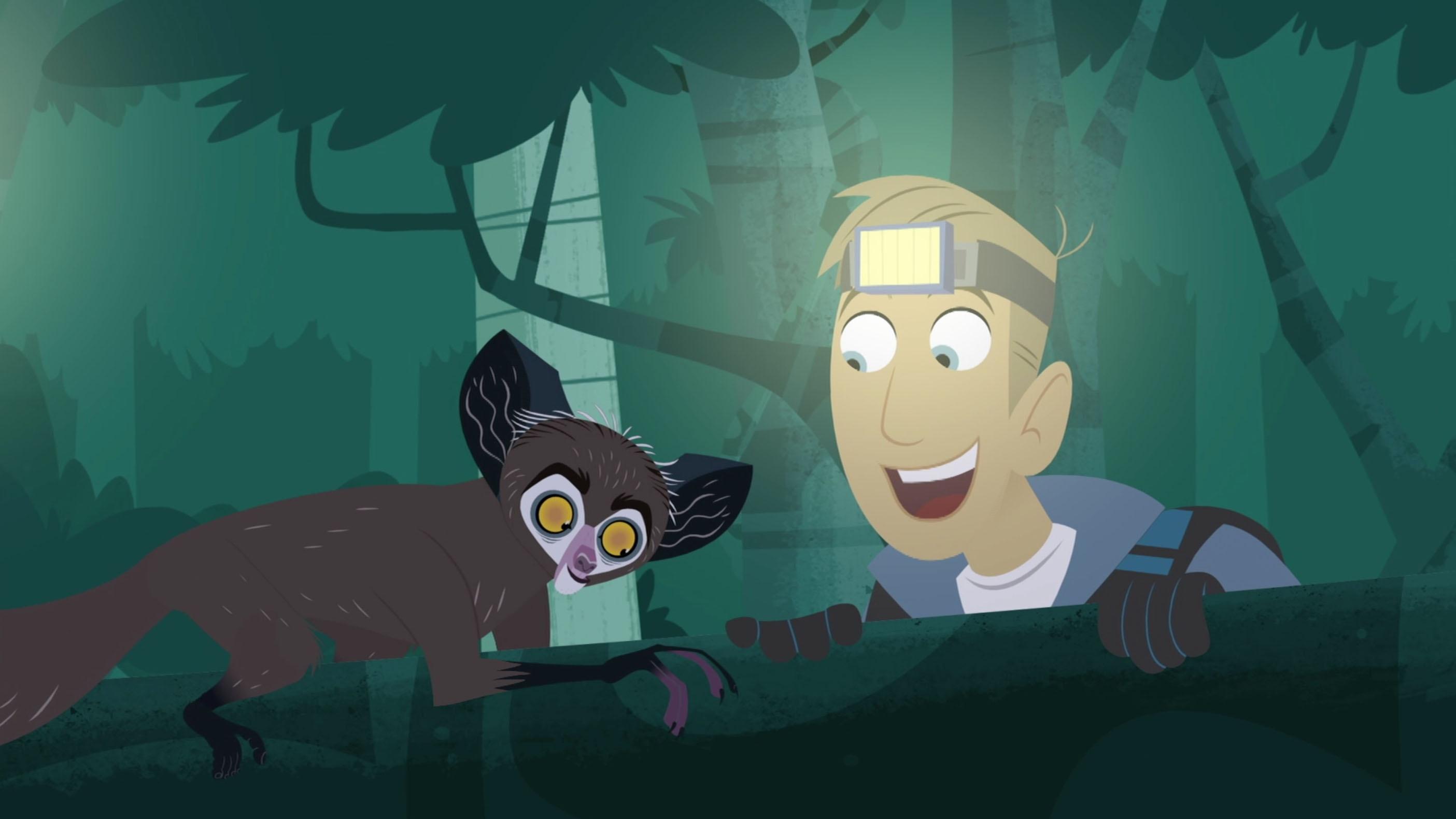 Wild Kratts - Full Episodes Video Collection | Videos | PBS KIDS