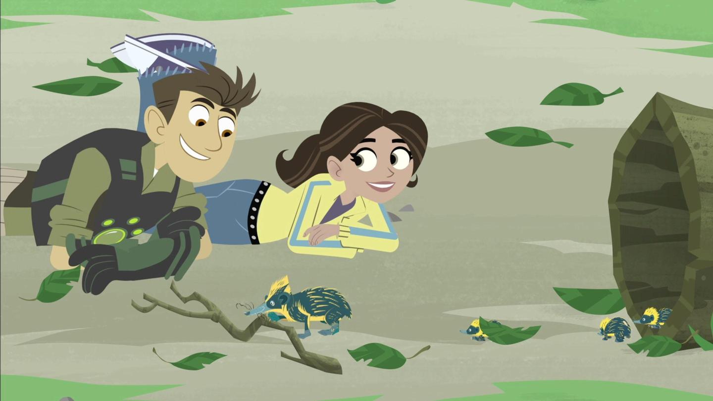 Wild Kratts - Full Episodes Video Collection | Videos | PBS KIDS